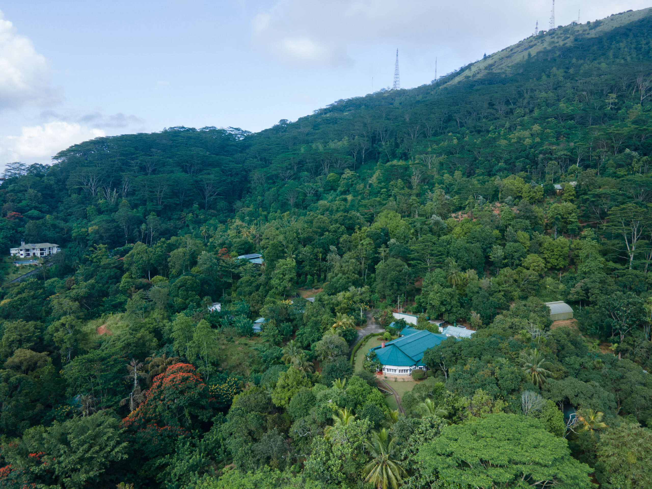 Tea Hotels Sri Lanka | Thema Collection, Tea