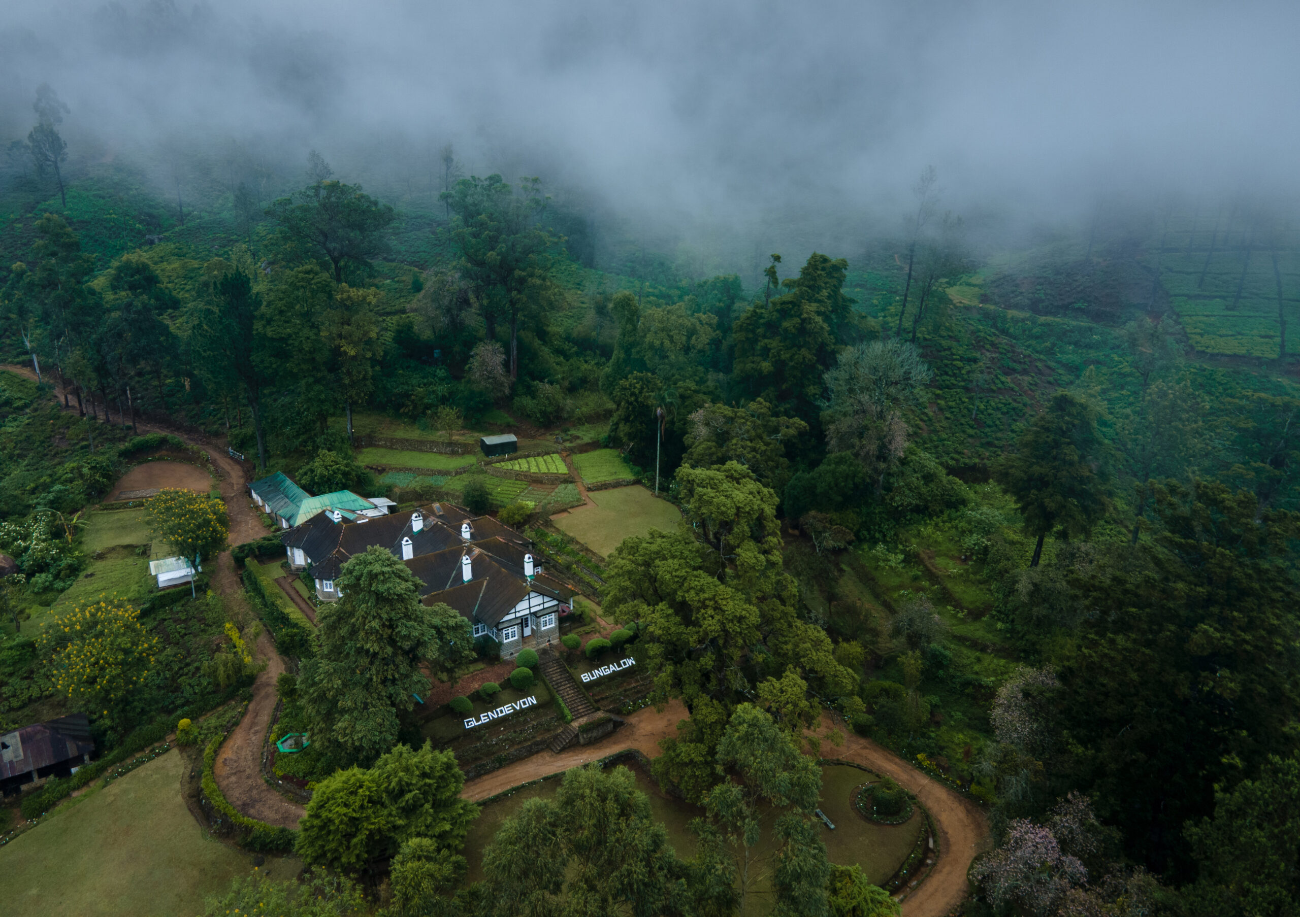 Tea Hotels Sri Lanka | Thema Collection, Tea