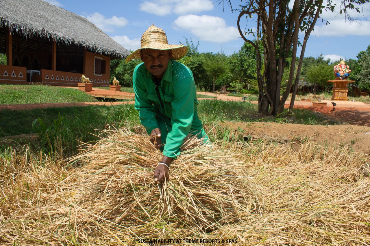 Sri Lanka Resorts | Official Site Thema Collection