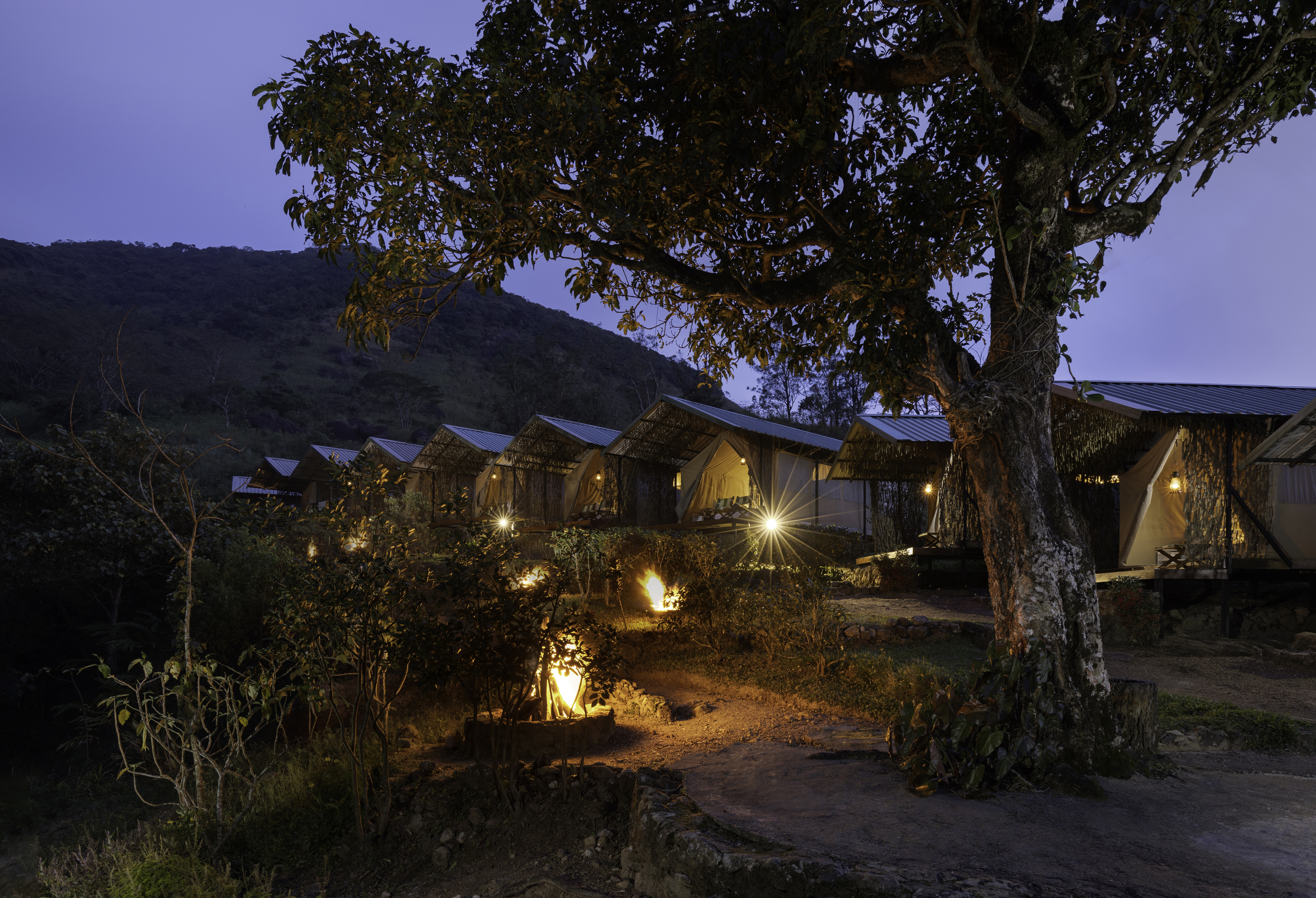 Tea Hotels Sri Lanka | Thema Collection, Tea