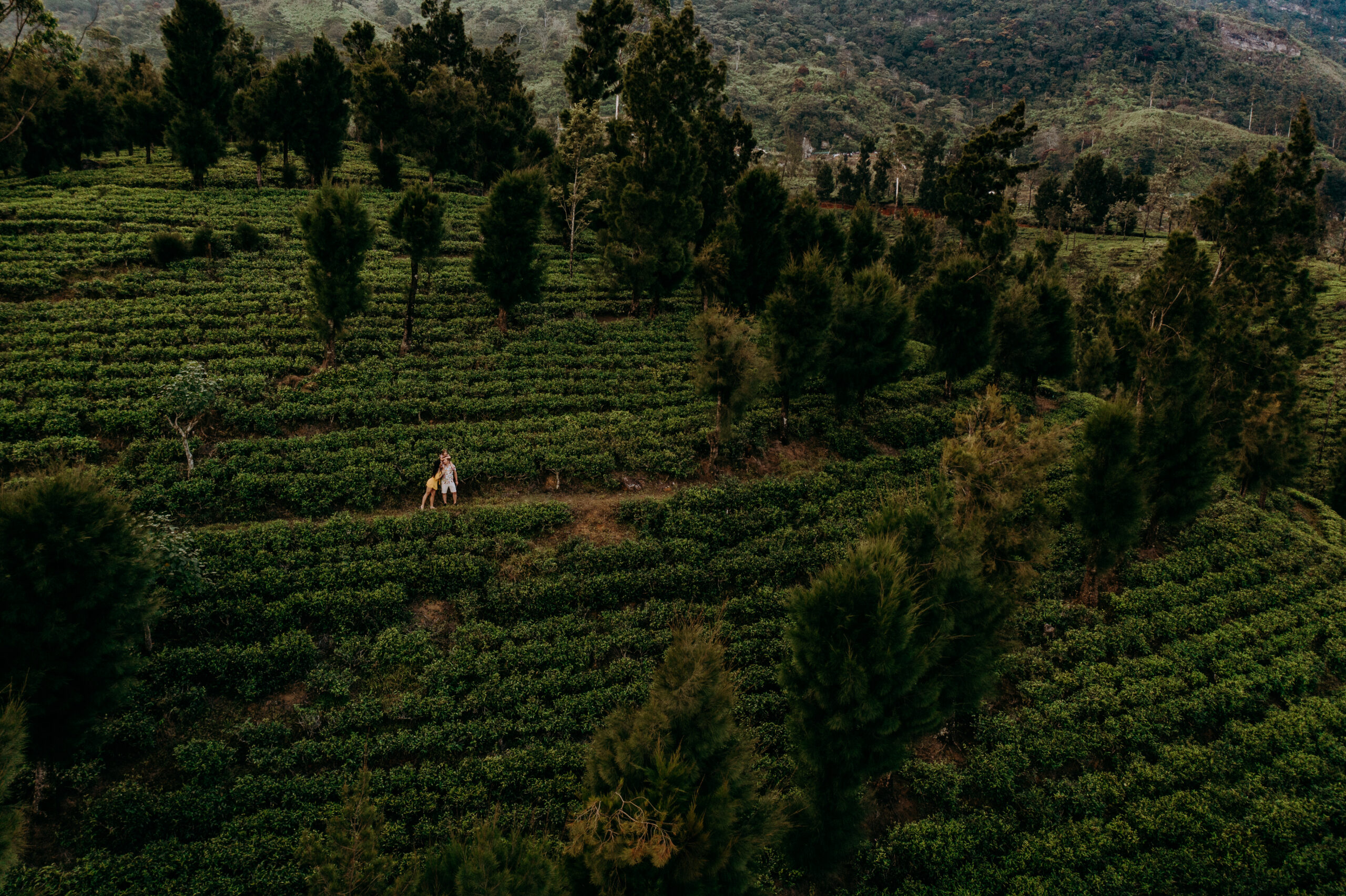 Sri Lanka Resorts | Official Site Thema Collection