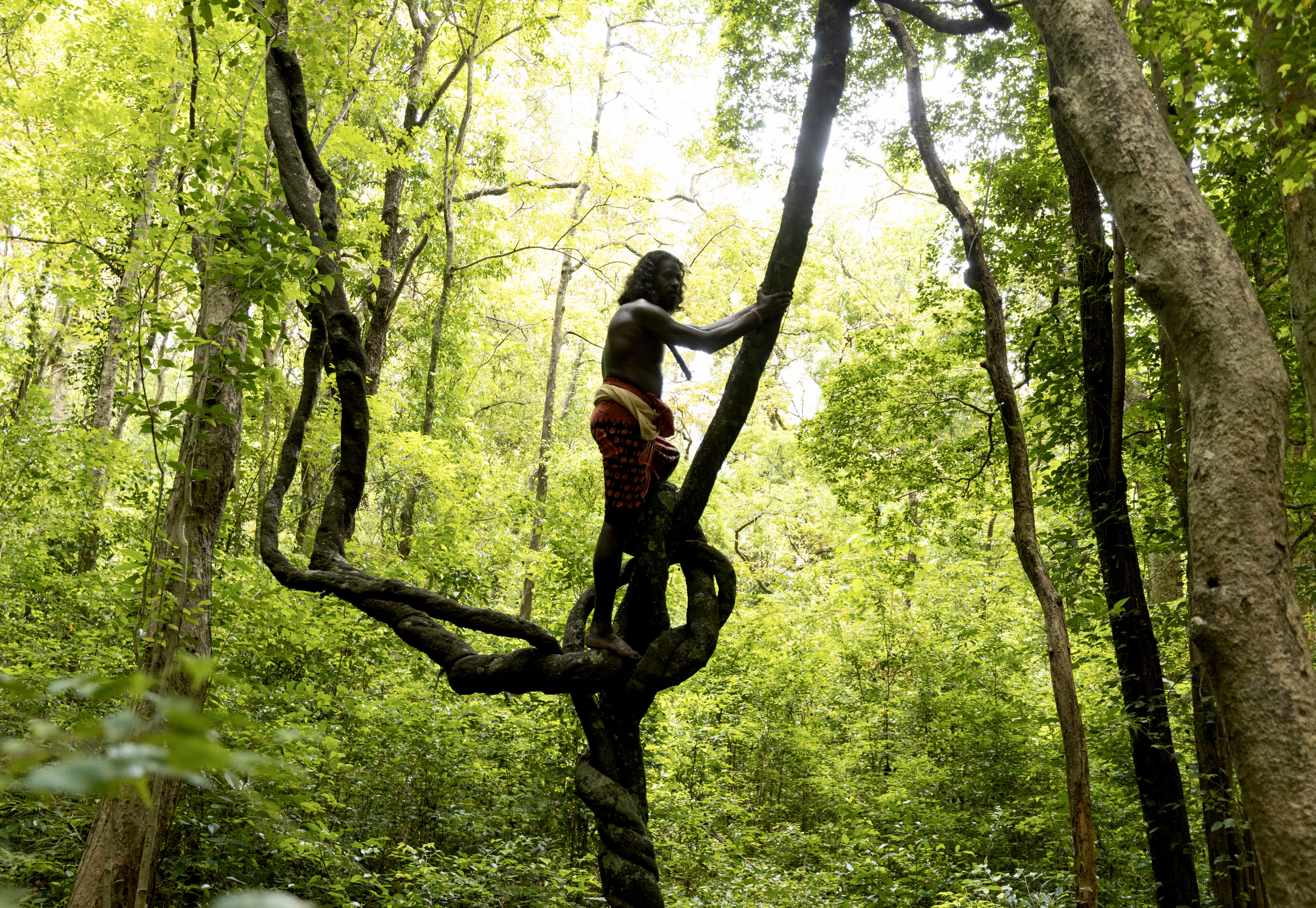 Sri Lanka Resorts | Official Site Thema Collection