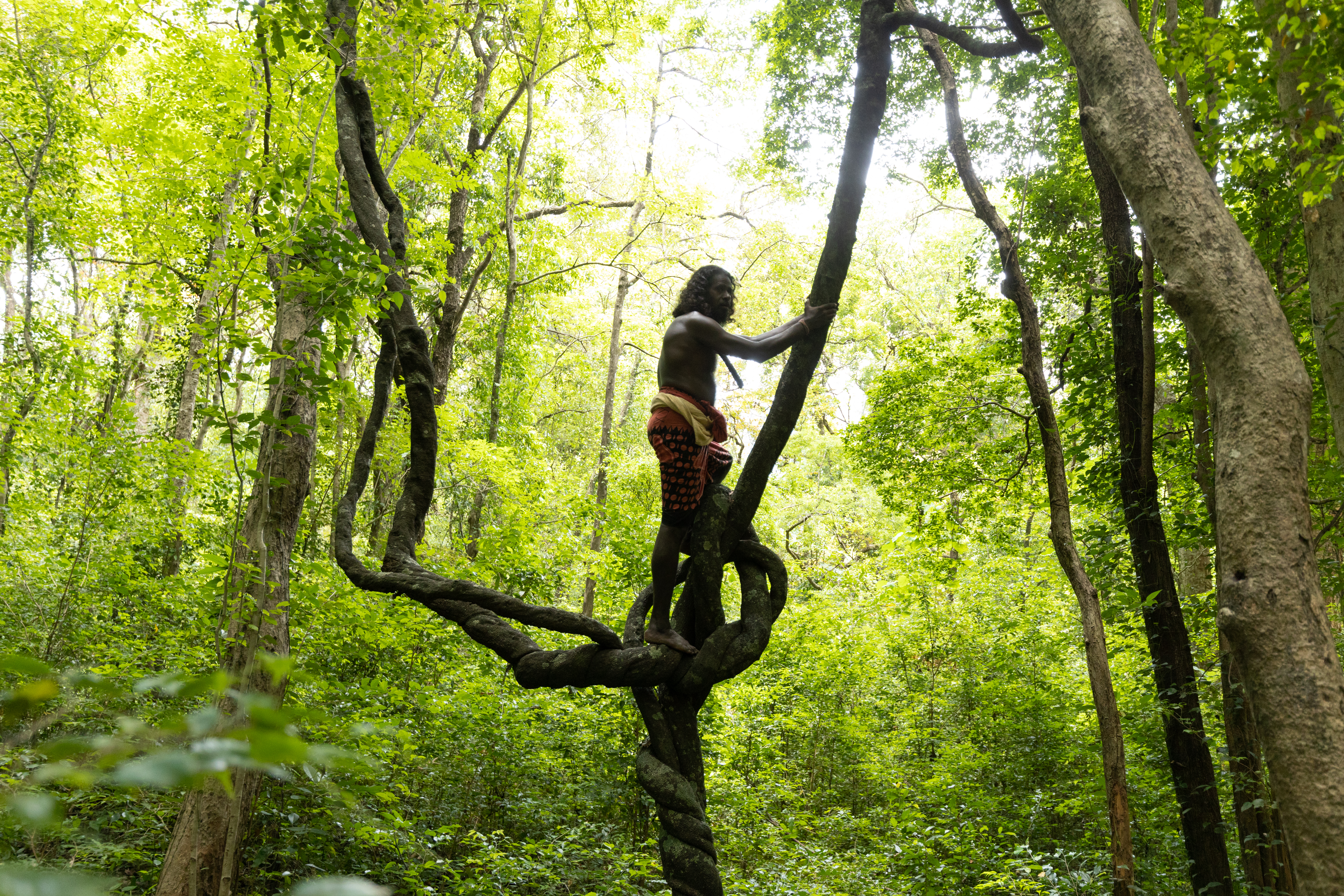 Jungle Walk with a Veddah | Things to do in Sri Lanka