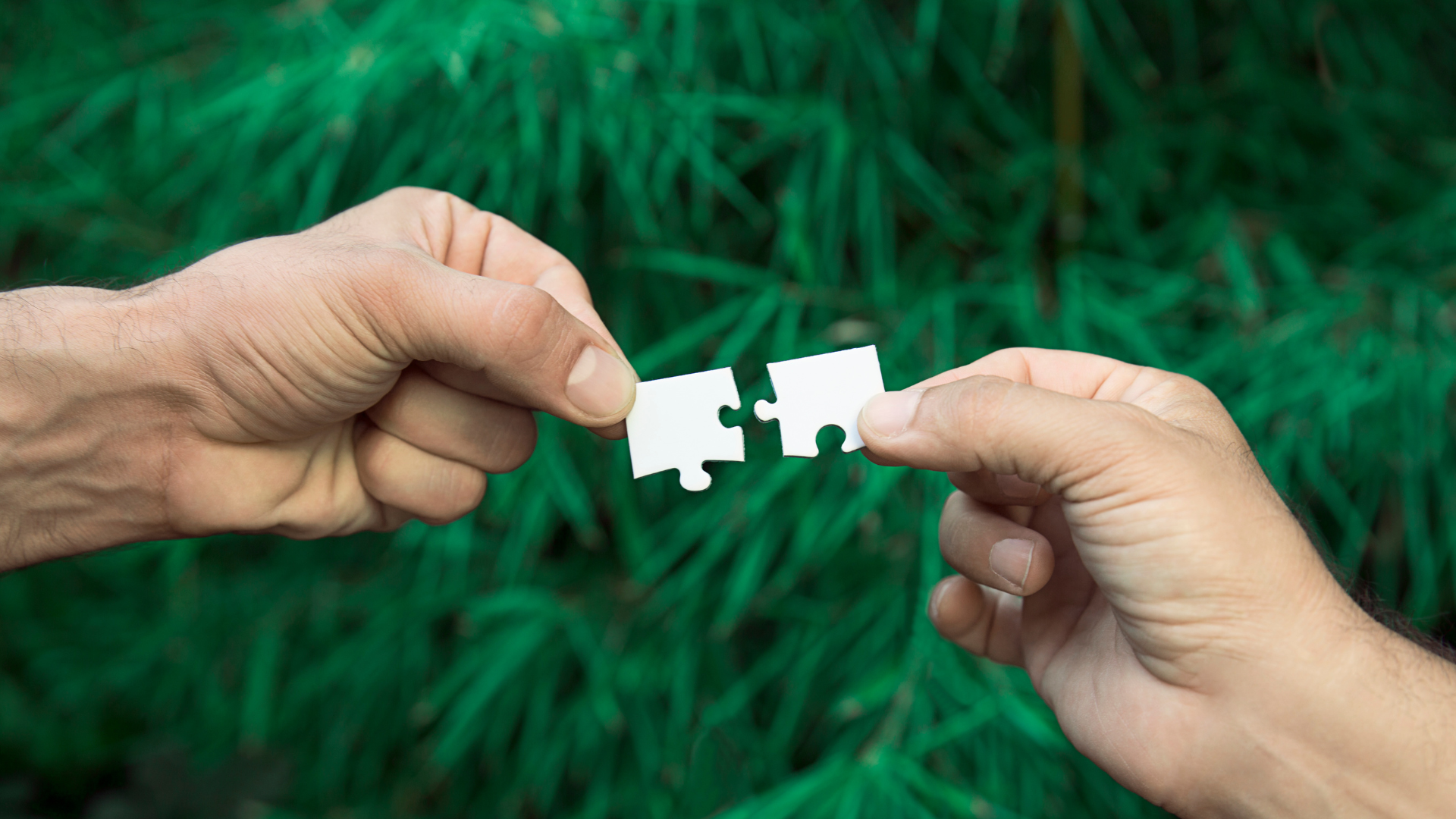 Thema Stories | Thema Collection Launches E-Bike Rides to Sigiriya from ...