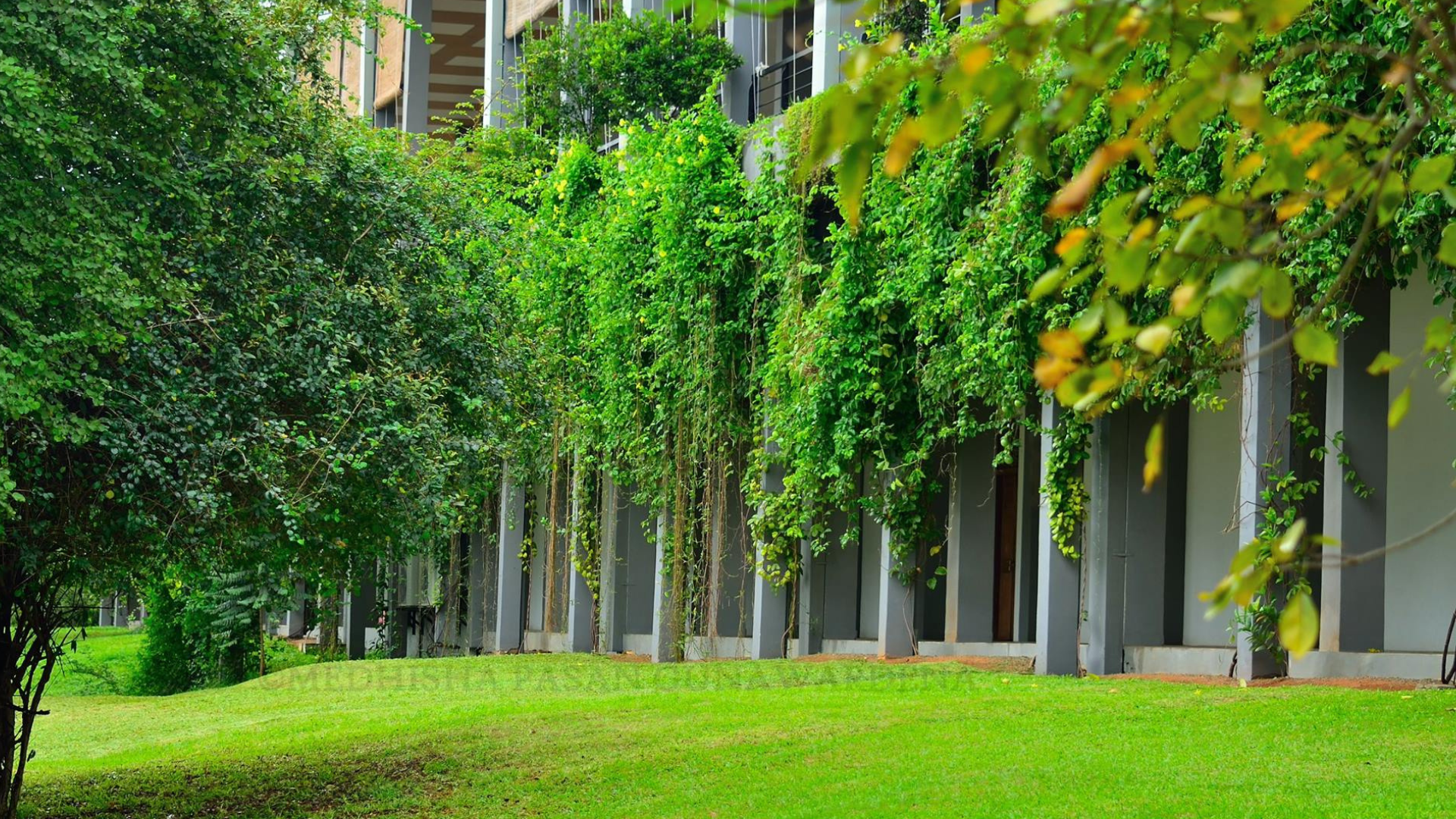 Sustainable Sri Lanka Hotels: Thema Collection & MDF Collaboration