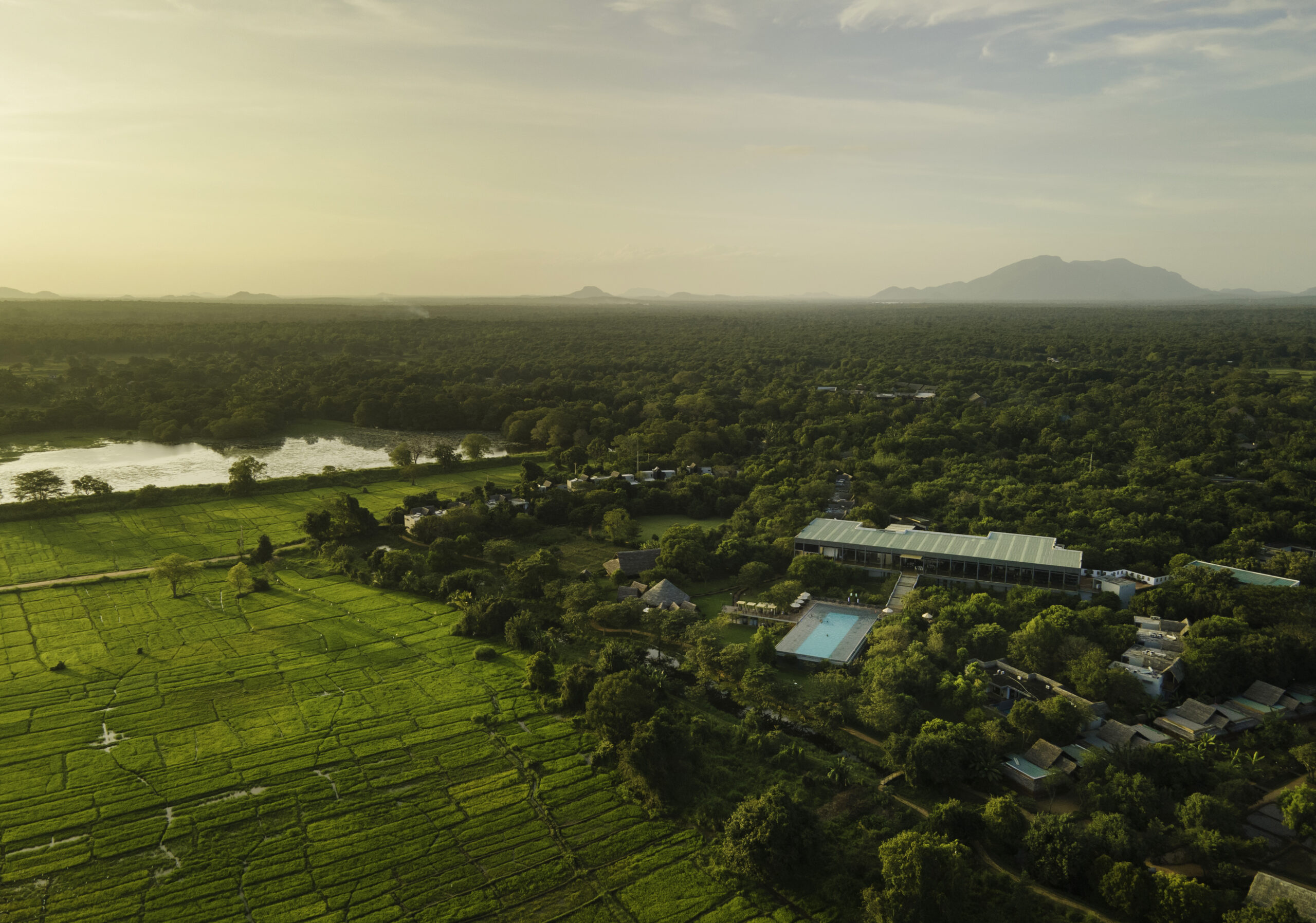 Blog | Thema Collection