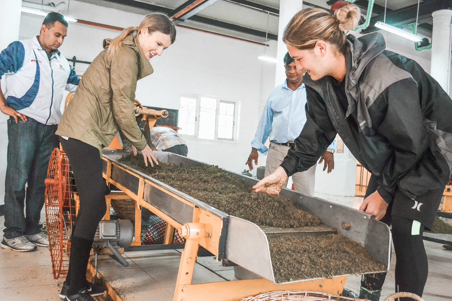 Tea Plantations Sri Lanka – Leaf to Cup Experience | Tea & Experience ...