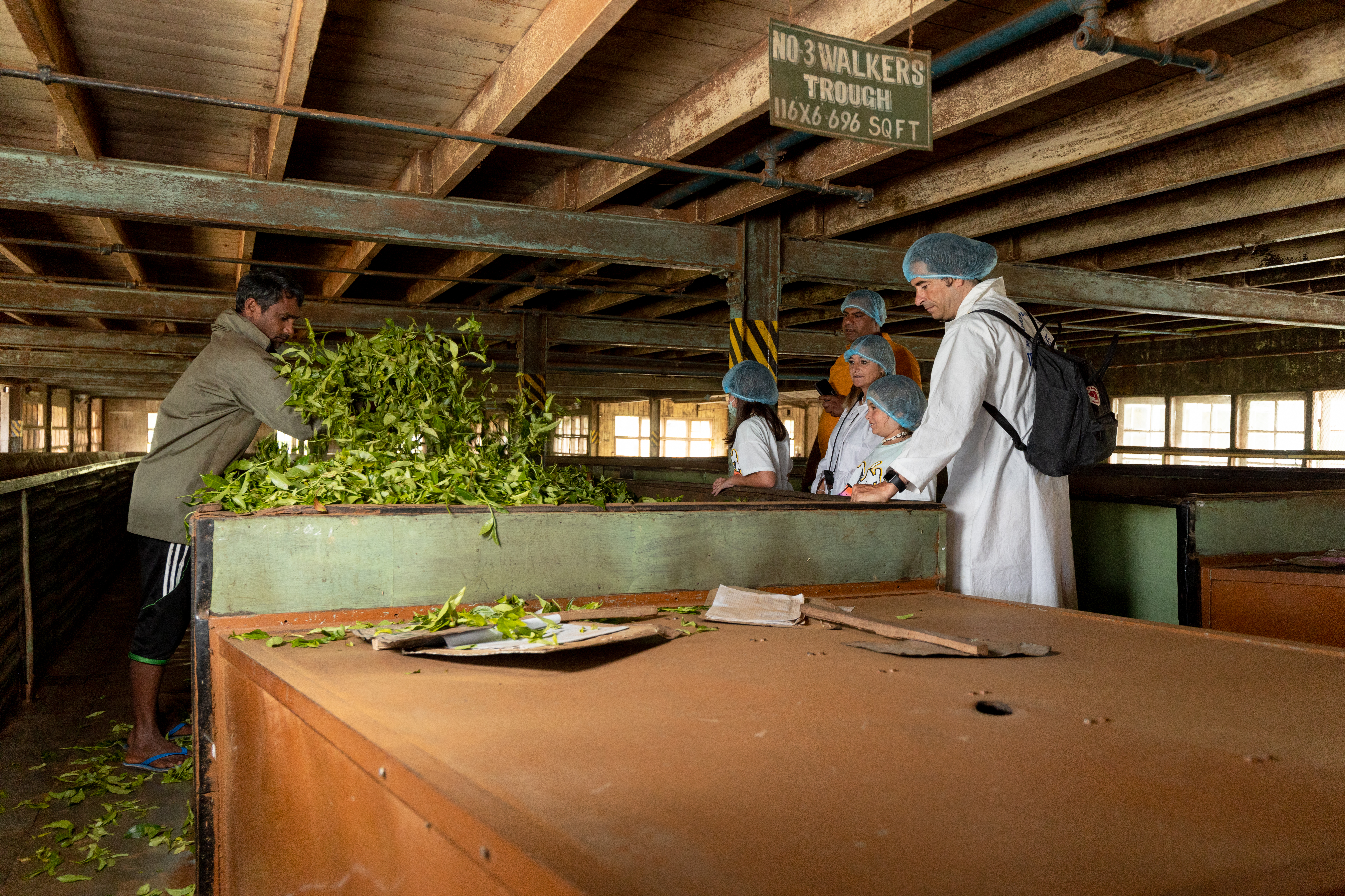 Nuwara Eliya Tea Factory Visit | Linddesdale Tour with Scottish Planter
